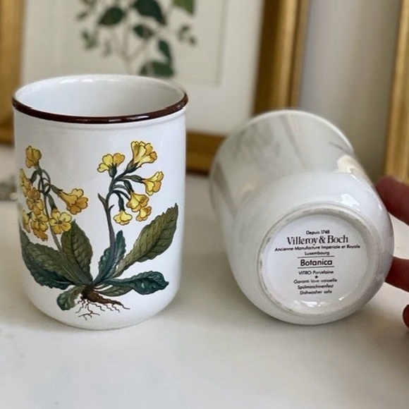 Villeroy & Boch | Dining | Villeroy And Boch Botanica Primula ...